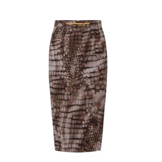 Elisabetta Franchi Damen, R&ouml;cke, Braun, LGr&ouml;&szlig;e