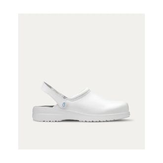 Feliz Caminar Feliz Caminar -