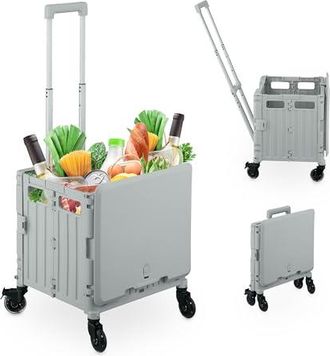 Relaxdays Einkaufstrolley, klappbar, Einkaufskorb mit Lenkrollen, Deckel & Teleskopgriff, bis 35 kg, Rollkiste, grau