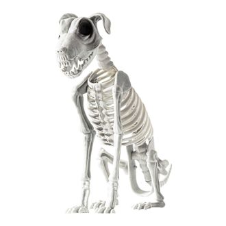 Generic Hundeskelett, Dekoration - Skelett f&uuml;r Hunde, Halloween, mit Gelenken, Zubeh&ouml;r, Dekoration, 44 x 31 cm, f&uuml;r Party, Festival, Haus, Schlafzimmer, Treff