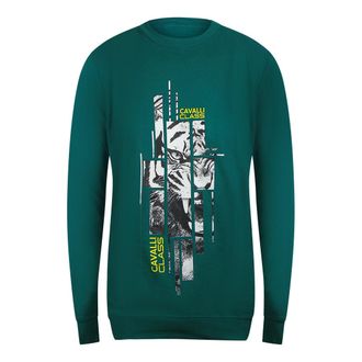 Cavalli Gr&uuml;nes Ottanio-sweatshirt Mit Zersplittertem Tiger-print