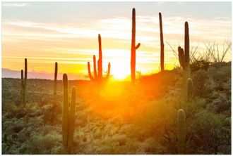 Wallario K&uuml;chenr&uuml;ckwand aus Glas 90 x 60 cm, Motiv: Sonnenaufgang in der W&uuml;ste | Spritzschutz abwischbar & pflegeleicht