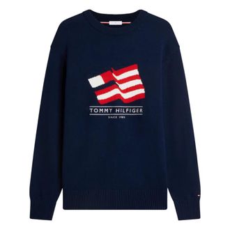 Tommy Hilfiger Herren, Strickwaren, Blau, LGr&ouml;&szlig;e