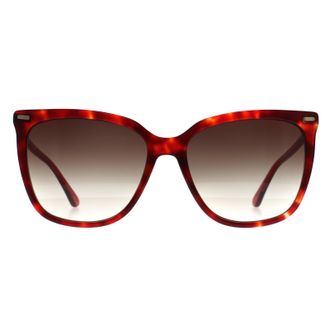 Calvin Klein Butterfly Damen Burgund Havanna Braun Farbverlauf CK22532S