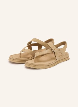 UGG Zehentrenner Goldengaze beige
