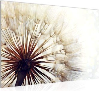 Runa Art Bild Pusteblume Modern Wandbilder Wohnzimmer Schlafzimmer 1 Teilig - Made In Germany - Gräser Beige Braun Flur 012215a