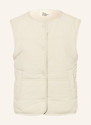 Lanius Lanius Steppweste Zum Wenden weiss