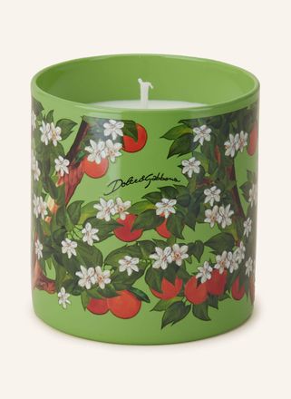 Dolce & Gabbana Dolce & Gabbana Casa Duftkerze Arance Di Sicilia gruen