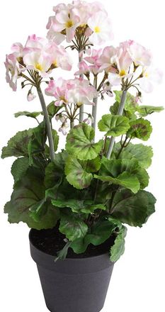 Botanic-Haus künstliche, hohe Geranie (Geranienbusch) mit 5 Blütenköpfen im schwarzen Kunststofftopf (Creme-pink)
