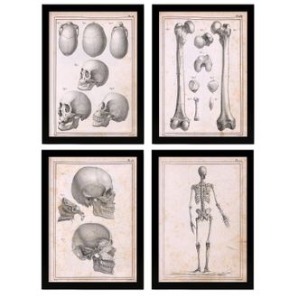 Nacnic 4er-Set Poster menschliche Anatomie Skelett Totenkopf Illustrationen Biologie Medizin Vintage Design Inneneinrichtung A4 ungerahmt