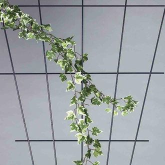 Siena Garden Siena Garden - Rosenspalier V-Form wei&szlig; 150 x 75 cm mit SB-Reiter