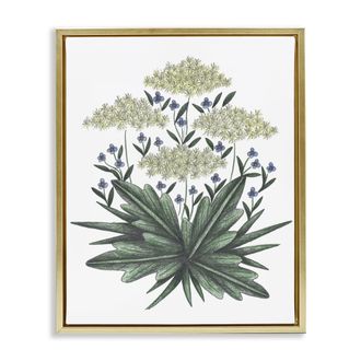 Stupell Industries New Roots Leinwandbild, Vintage-Skizze, gerahmt, Design von Cecilia Battaini, 53,3 x 43,2 cm, Grau