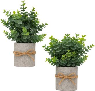 Nala 2er Set K&uuml;nstliche Pflanzen Eukalyptus, Beton Optik, 6cm x 7cm-14cm, Vintage Style, Schreibtisch Deko, Badezimmer, Kunstblumen Wie Echt, Balkon, Kunst