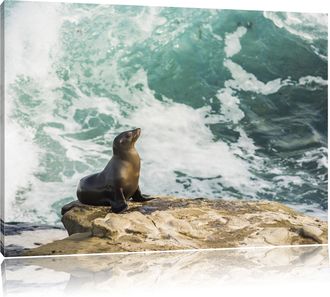 Pixxprint süße Robbe sonnt sich, Größe: 60x40cm, Leinwandbild, fertig gespannt, Wandbild, Dekoration, Kunstdruck, kein Poster