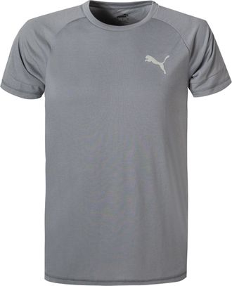 Puma Herren T-Shirt grau Slim Fit