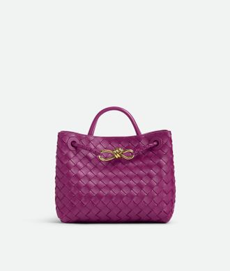 Bottega Veneta Andiamo Petit Format - Bottega Veneta
