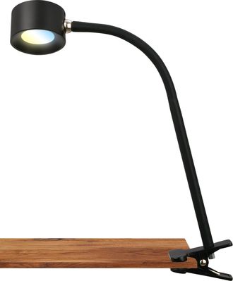 Briloner LED Schreibtischlampe mit Akku, magnetisch abnehmbar, 360 Grad drehbar, dimmbar, CCT, Leselampe kabellos, Klemmlampe, Klemmleuchte, Nachttischlampe, L