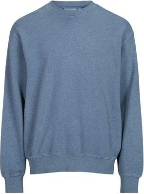 Carhartt Work in Progress Sweat droit col rond en coton