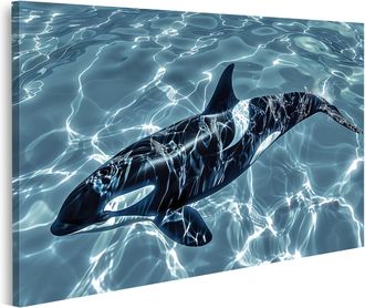 Islandburner Bild auf Leinwand Schwarzer Orca unter Wasser Lichtreflexionen f&uuml;r Wohnzimmer Meerliebhaber Aquarium Bilder Wandbilder Poster