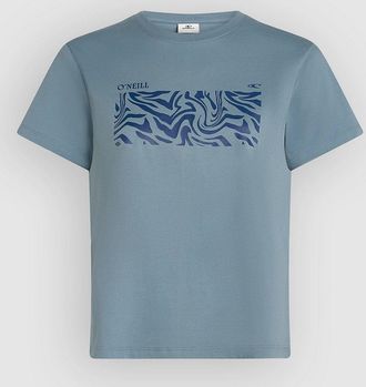 O'Neill Graphic T-Shirt murky water