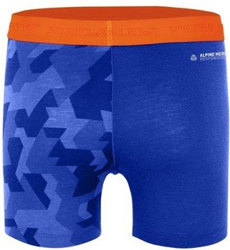 Salewa Cristallo Warm AMR - Boxer - Herren