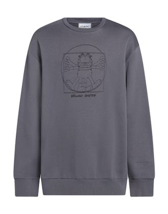 Iceberg X GARFIELD