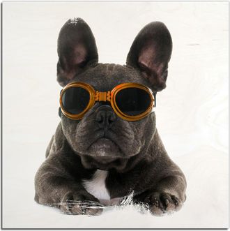 Wallario Wandbild aus Holz Cooler Hund mit Sonnenbrille in orange - Französische Bulldogge - 40 x 40 cm in Premium-Qualität: Brillante Farben