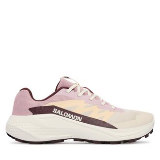 Salomon Laufschuhe Salomon Alphaglide W L49092800 Creme