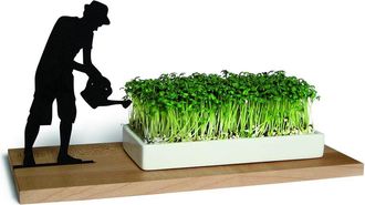 side by side Keksschale, Kresseschale - Plätzchenschale - Gärtner - Holz, Porzellan