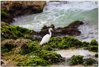 Wallario Outdoor-Poster f&uuml;r Garten oder Balkon Reiher an der K&uuml;ste, Motivbanner Gr&ouml;&szlig;e: ca. 100 x 150 cm, Outdoor-Bild