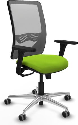 Piqueras y Crespo Stuhl mit Lendenwirbelst&uuml;tze Zulema mit 3D-Armlehnen. Ausgestattet mit 3 Positionen und Schneidschaum. Mit Rollen von 65 mm, Parkett, Grau/Pistazie