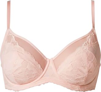 SugarShape BH Gracy