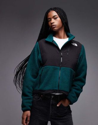 The North Face Retro Denali - Veste en polaire &eacute;paisse - Vert
