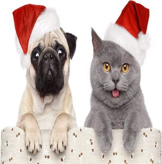 A.Monamour Wandteppiche Süsse Katze Und Hund In Roter Weihnachtsmütze Weihnachtsdekoration Weisser Hintergrund Bedruckter Wandbehang Tapisserie Vorhänge Tischdec