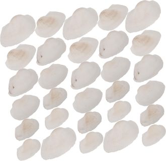 PartyKindom Natürliche Weiße Jakobsmuscheln Muscheln für DIY Basteln Strand Hochzeit Dekoration Fischglas Füllmaterial Kreative Handwerksprojekte