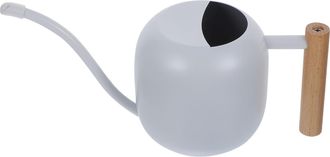 Angoily Gie&szlig;kanne Edelstahl 1,2l mit Langem Ausguss und Holzgriff Metall Gie&szlig;kanne f&uuml;r Zimmerpflanzen und Gartenbew&auml;sserung