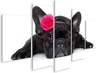 Islandburner Tableau sur toile Bouledogue fran&ccedil;ais Rose Images murales Poster