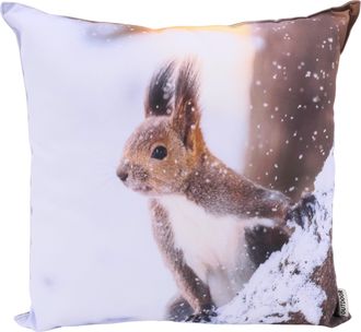 CB Home & Style Outdoor Garten Kissen Wasserabweisend 45 x 45 cm Weihnachten Winter (Eichhörnchen)