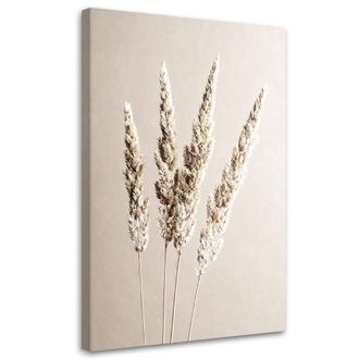 Feeby Leinwand Bilder - Bild Wohnzimmer - Pampasgras Pflanzen beige - 40x60 1tlg - Deko Schlafzimmer Gro&szlig; - Dekoration Canvas - Gem&auml;lde - Modern Wandbilder 