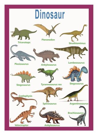 Generic poster Dinosaur Classroom Poster - Educational Chart of 15 Popular Species with Names | Colorful Science Decor for School, Library, Bedroom(Unframed,1