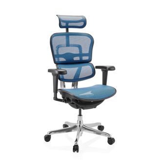 hjh OFFICE B&uuml;rostuhl ergonomisch ERGOHUMAN Ultra GEN2 Originales Design, B&uuml;rosessel mit Flexibler Lendenwirbelst&uuml;tze, Netzbespannung, Blau
