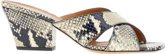 PARIS TEXAS Femme, Chaussures, Multicolore, Taille: 36 EU Arizona Mule 60