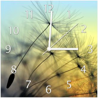 Wallario Design-Wanduhr Samen der Pusteblume in Nahaufnahme vor blauem Himmel aus Glas, Motiv-Uhr Größe 30 x 30 cm, weiße Zeiger