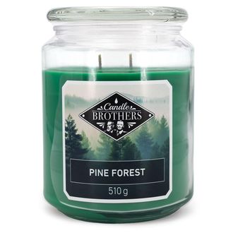 Candle-Brothers Candle Gro&szlig;e Duftkerze im Glas | Pine Forest | Duftkerze Tanne | Kerze lange Brenndauer (100h) | Geschenke f&uuml;r Weihnachten | Winterkerze