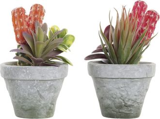 DKD Home Decor Dekorative Pflanze, Standard