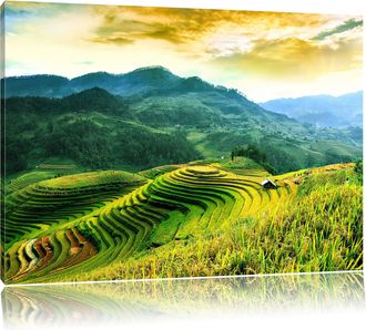 Pixxprint Reisfelder in Vietnam, Größe: 100x70cm, Leinwandbild, fertig gespannt, Wandbild, Dekoration, Kunstdruck, kein Poster