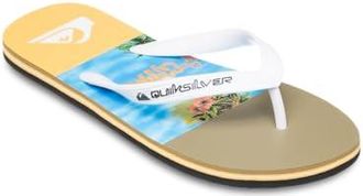 Quiksilver MOLOKAI STRIPE 25 Sandales pour homme Coronet Blue Naturama, 43 EU, Coronet Blue Naturama, 43 EU