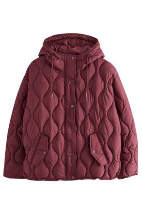 Next Steppjacke Leichte Steppjacke (1-St)