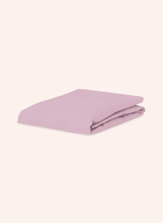 Essenza Essenza Spannbettlaken The Perfect Organic Jersey lila