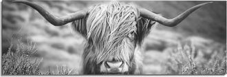 Reinders Wandbild, Highlander Bulle, Wohnzimmer, Bilder, Wanddeko, Room Decor, MDF, Schwarz-Wei&szlig;, 52 x 156cm